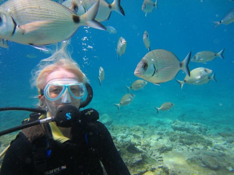Bodrum: Scuba Diving Trip with Lunch - Why This Tour Works for Travelers