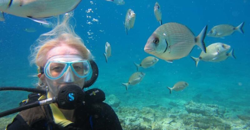 Bodrum: Scuba Diving Trip with Lunch - The Sum Up