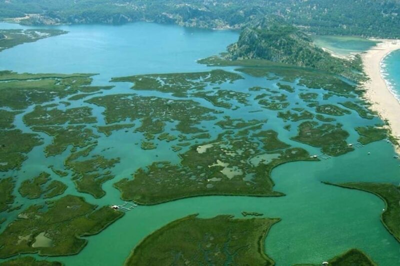 Bodrum to Dalyan Turtle Beach (Caunos) Guided Tour - Who Will Love This Tour?