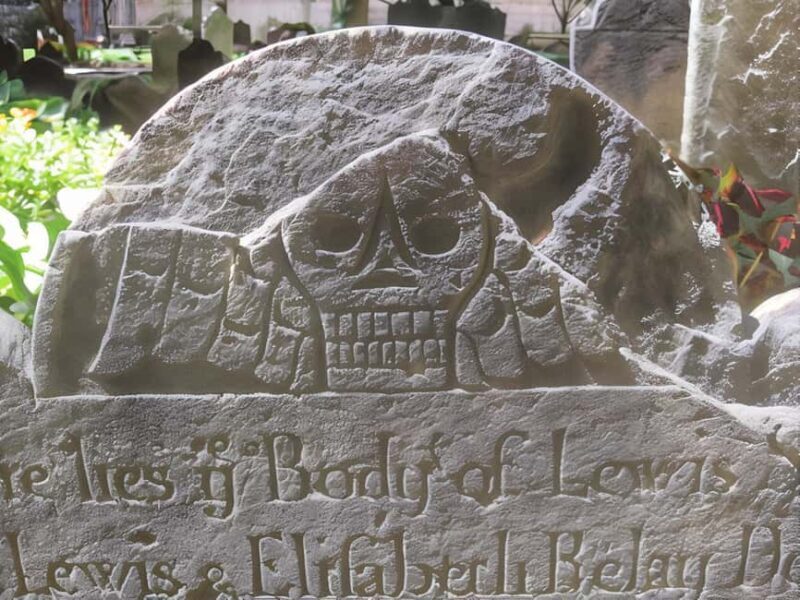 Body Snatchers of New York - Why It Stands Out