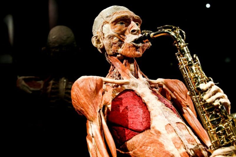 Body Worlds Amsterdam: The Happiness Project Ticket - Breaking Down the Itinerary