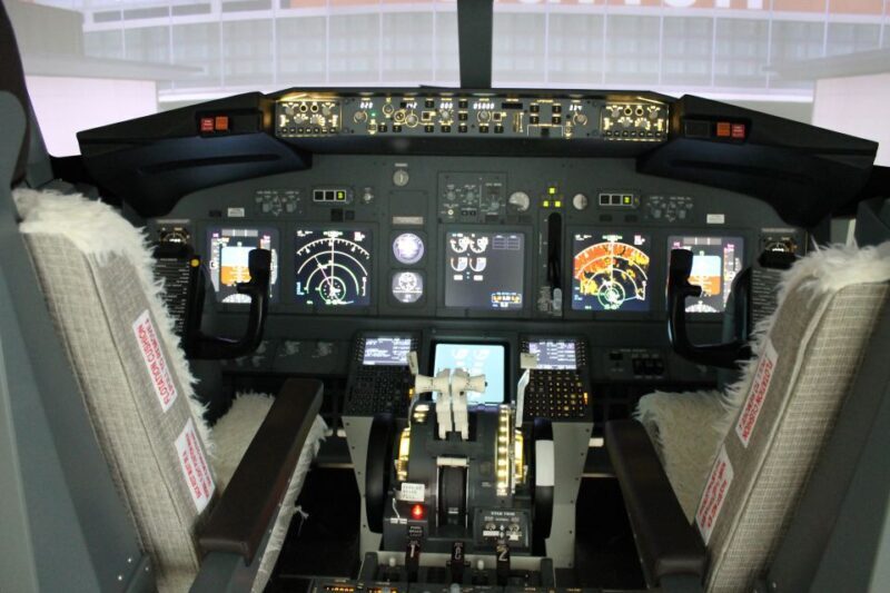 Boeing 737-800 Professional simulator - 30 minutes - Key Points