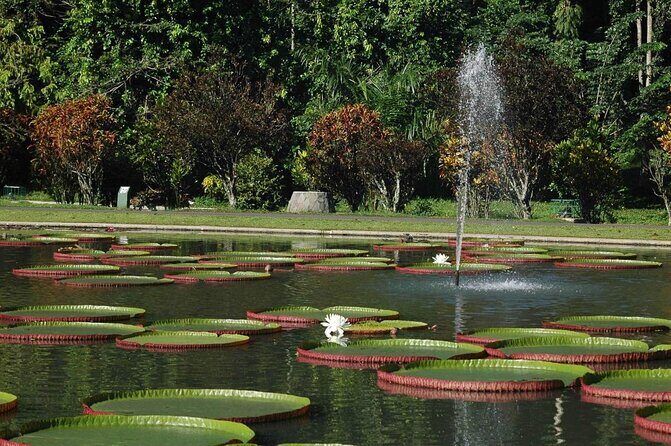 Bogor Botanical Garden & Rainforest Trekking to Hidden Waterfall - Starting in Jakarta’s Countryside