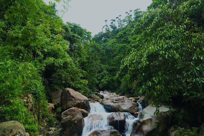 Bogor Botanical Garden & Rainforest Trekking to Hidden Waterfall - Trekking Gede Pangrango National Park