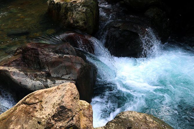 Bogor Botanical Garden & Rainforest Trekking to Hidden Waterfall - Lunch and Rest