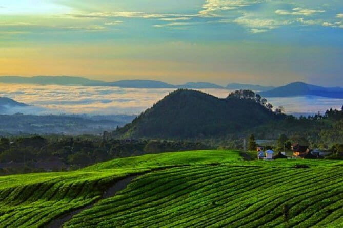 Bogor City Full-Day Private Tour from Jakarta with Pick Up - Practical Aspects and What to Expect