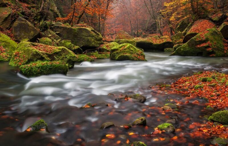Bohemian Switzerland: Private Day Trip from Prague - The Journey into Bohemian Switzerland