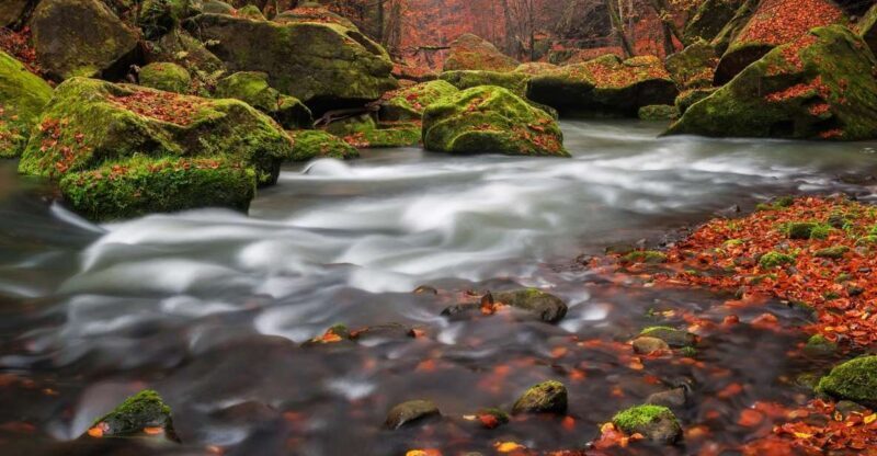Bohemian Switzerland: Private Day Trip from Prague - Pravická Brána and the Rock Formations