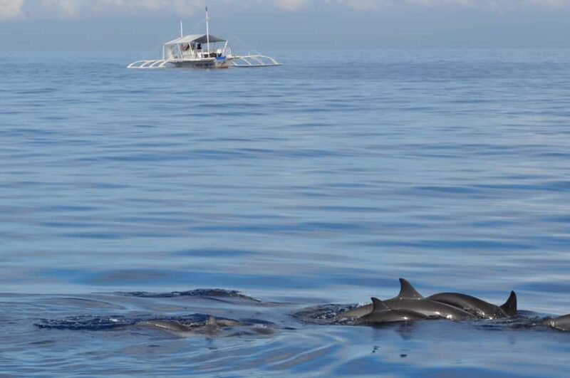 Bohol: Balicasag Boat Tour with extra snorkeling time - A Detailed Look at the Tour Experience