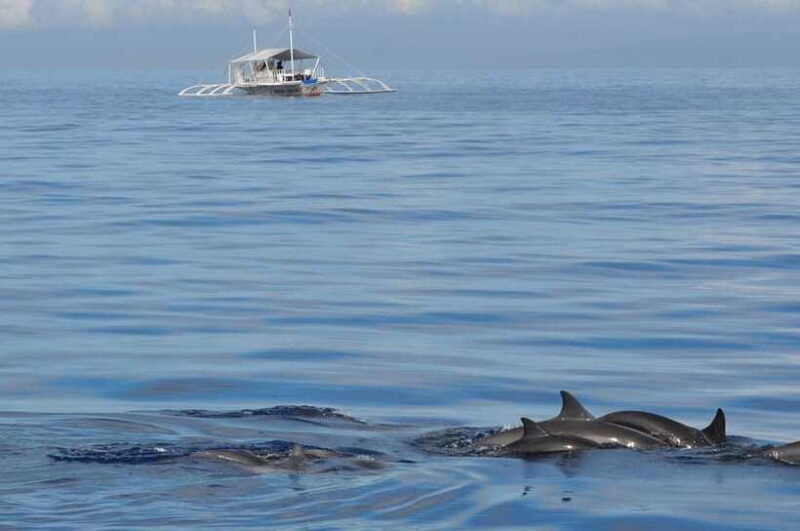 Bohol: Balicasag Boat Tour with extra snorkeling time - Frequently Asked Questions