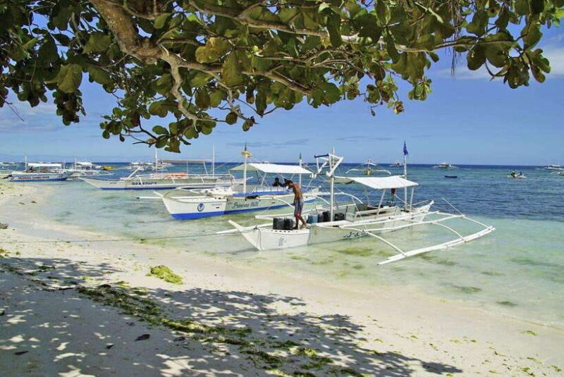 Bohol Balicasag Is Private Tour and Dolphin Watching - Real Traveler Experiences: Authentic Insights