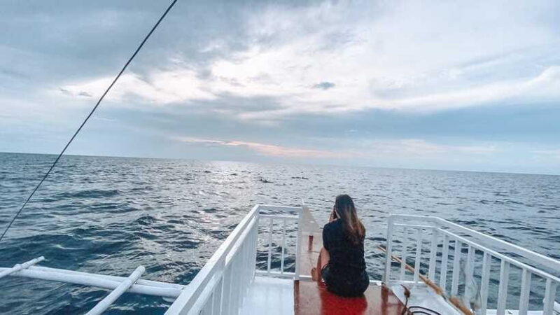Bohol Balicasag Is Private Tour and Dolphin Watching - Practical Tips for Participants