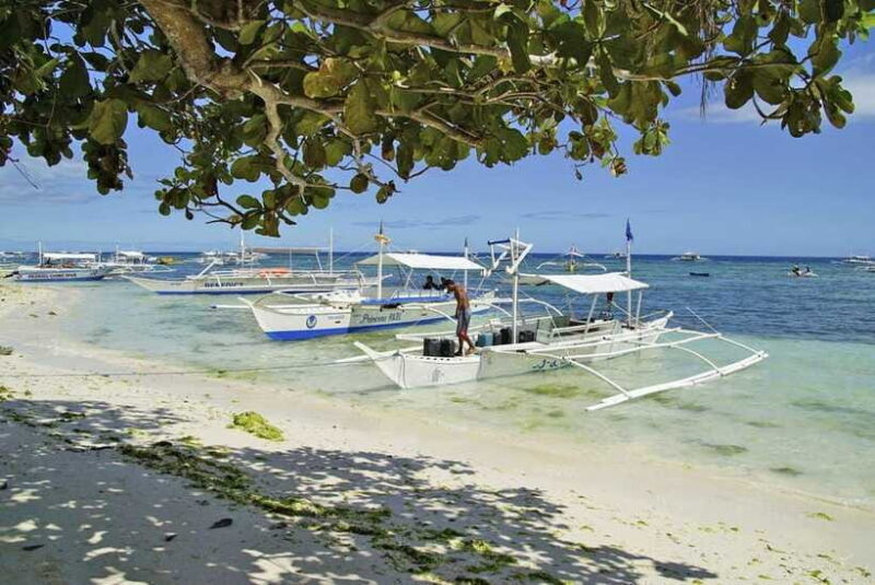 Bohol Balicasag Is Private Tour and Dolphin Watching - Frequently Asked Questions