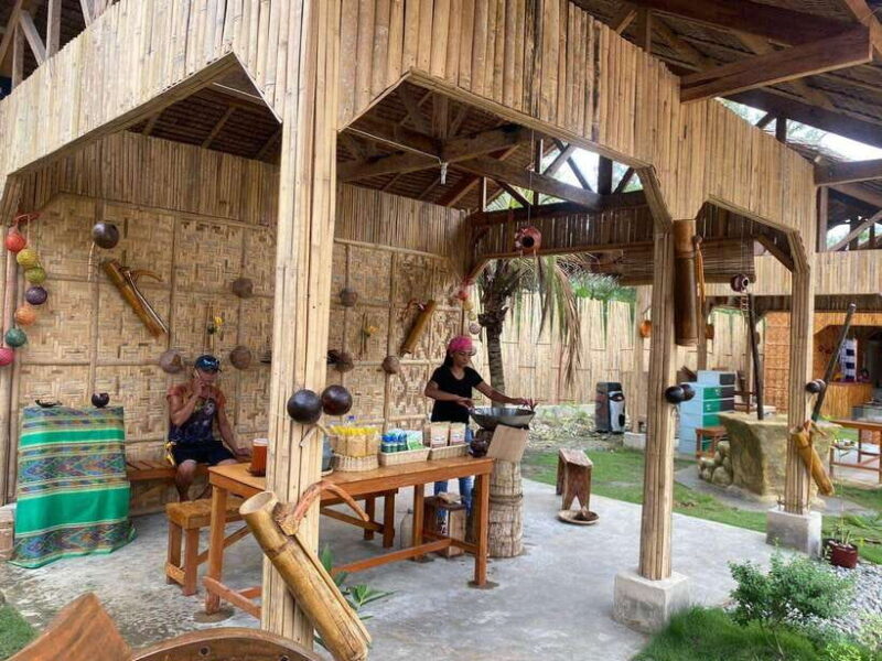 Bohol: Choco Tour & Tarsiers with Lunch - An In-Depth Look at the Tour Experience