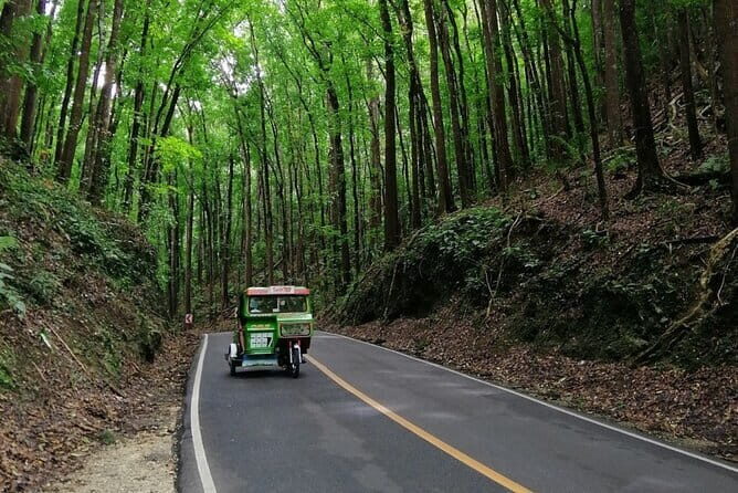 Bohol Choco Tour with Loboc River Lunch Buffet - Who Is This Tour Best Suited For?