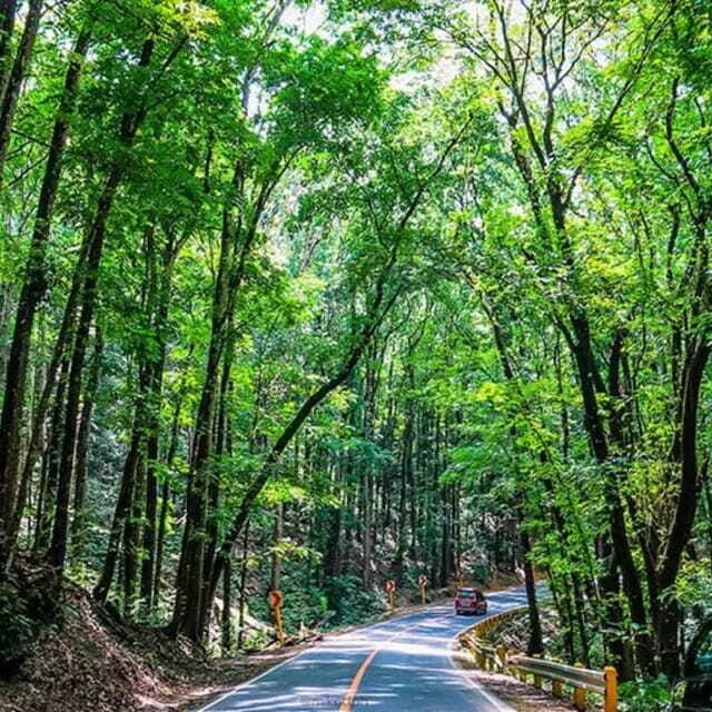 Bohol Choco Tour with Loboc River Lunch (Shared Tour) - A Detailed Look at the Tour Itinerary