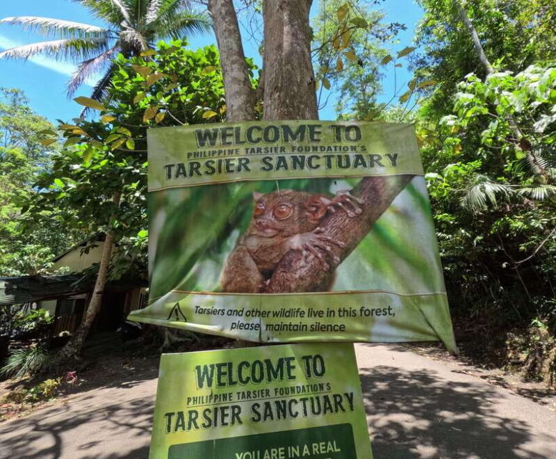 Bohol: Chocolate hills Private Eco-Tours - A Detailed Breakdown of the Itinerary