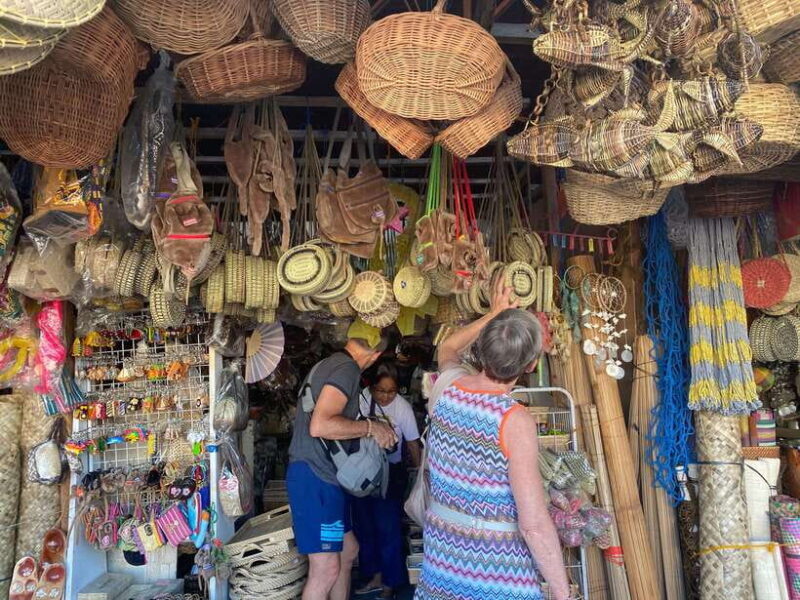 Bohol: Chocolate hills Private Eco-Tours - Practical Tips for Travelers