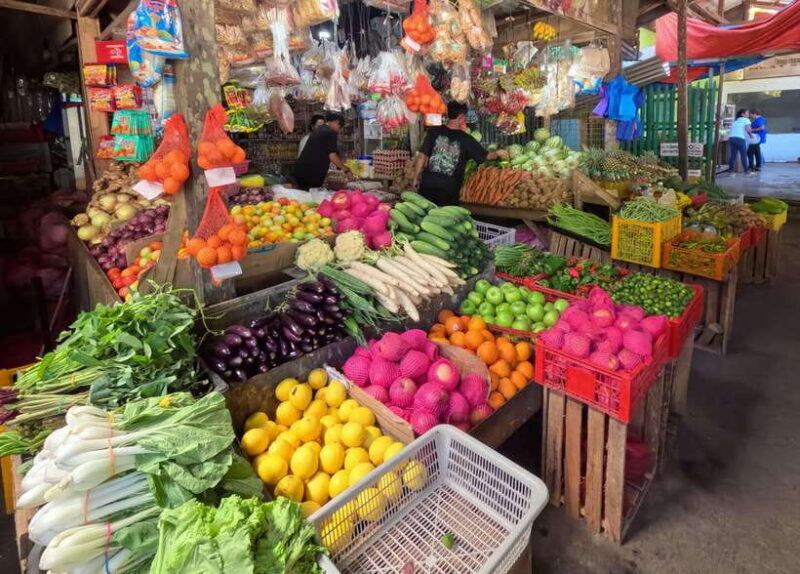 Bohol: Chocolate hills Private Eco-Tours - Final Thoughts