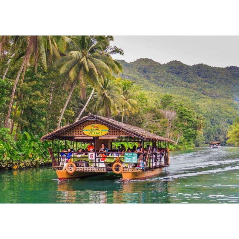 Bohol: Chocolate Hills Tour - What Travelers Need to Know