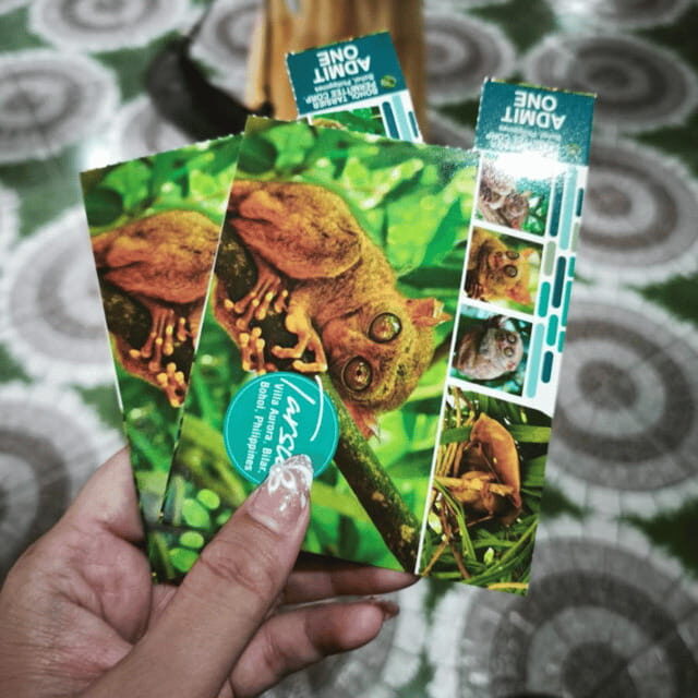 Bohol Chocolate Hills Tour with Loboc River Lunch Buffet - The Value for Who?
