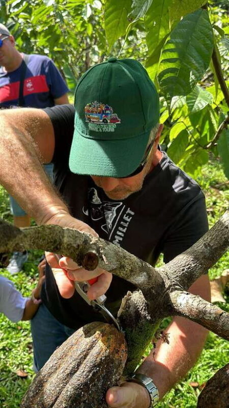 Bohol Chocolate Making and Farm Tour - An In-Depth Look at the Tour Experience
