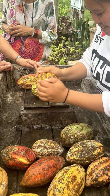 Bohol Chocolate Making and Farm Tour - Authentic Guides and Unmatched Local Knowledge