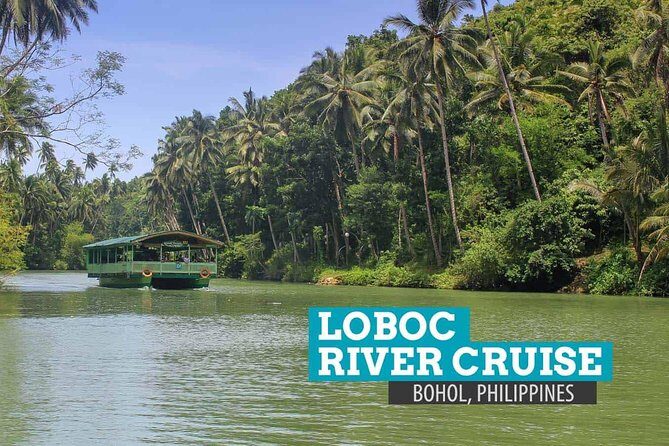 Bohol Countryside Day Tour from Cebu City or Mactan - Best Seller - Final Thoughts: Who Is This Tour Best For?