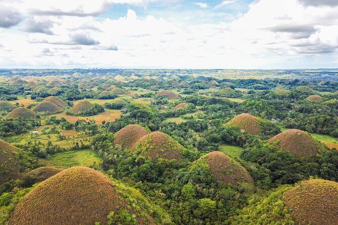 Bohol Countryside Tour: Chocolate Hills, Tarsier and Loboc River - What the Tour Includes and What It Doesn’t