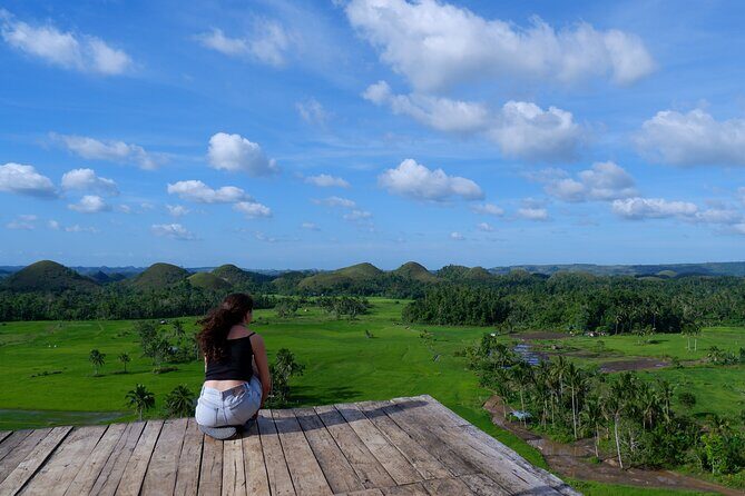 Bohol Countryside Tour: Chocolate Hills, Tarsier and Loboc River - Value for Money and Overall Impression