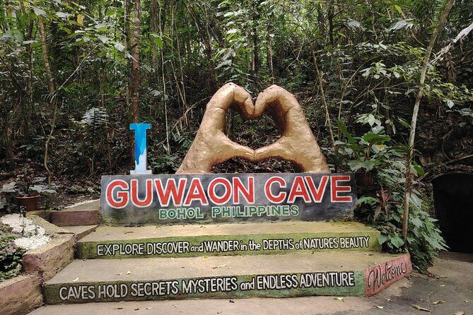 Bohol Countryside Tour to Chocolate Hills and Loboc River - Who Will Love This Tour?