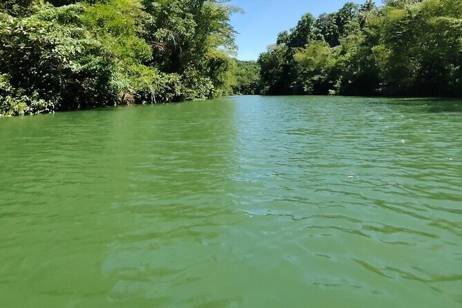 Bohol Countryside Tour to Chocolate Hills and Loboc River - Final Thoughts