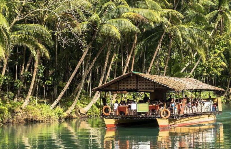 Bohol: Countryside Tour with Loboc (Buffet Lunch) - An In-Depth Look at What Makes This Tour Worth Considering