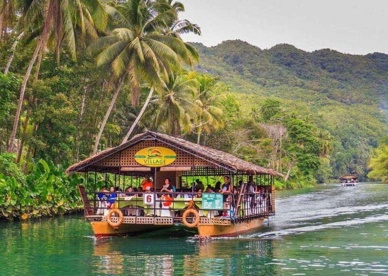Bohol: Countryside Tour with Lunch Buffet - Who This Tour Fits Best