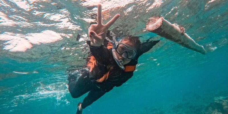 Bohol: Dolphin Watching & Balicasag Island Hopping Tour - Who Should Consider This Tour?