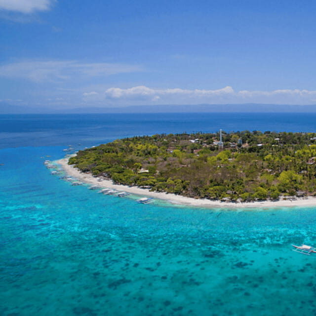 Bohol: Dolphin Watching, Balicasag Island Hopping Tour - An Introduction to the Bohol Marine Experience