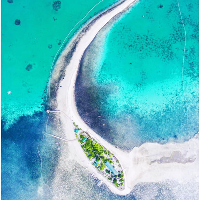 Bohol: Dolphin Watching, Balicasag Island Hopping Tour - Practicalities and Comfort