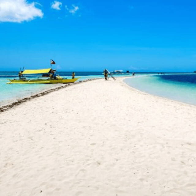 Bohol: Dolphin Watching, Balicasag Island Hopping Tour - Final Thoughts: Who Will Love This Tour?