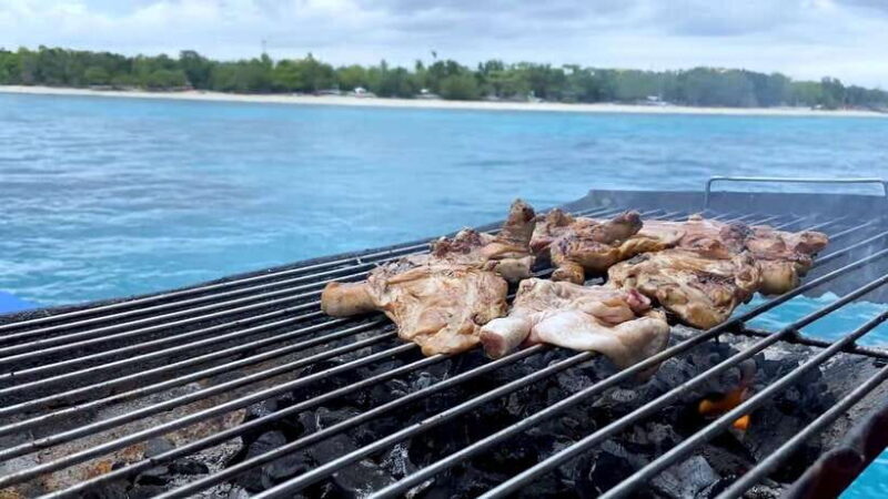 Bohol: Dolphin Watching & Snorkeling at Balicasag Island - An authentic look at the Bohol marine experience