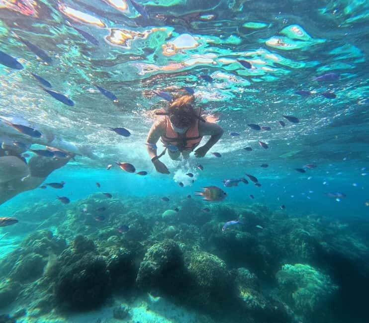 BOHOL: Dolphin Watching, Turtle Swim and Island Party - Bohol: Dolphin Watching, Turtle Swim and Island Party — A Practical Overview