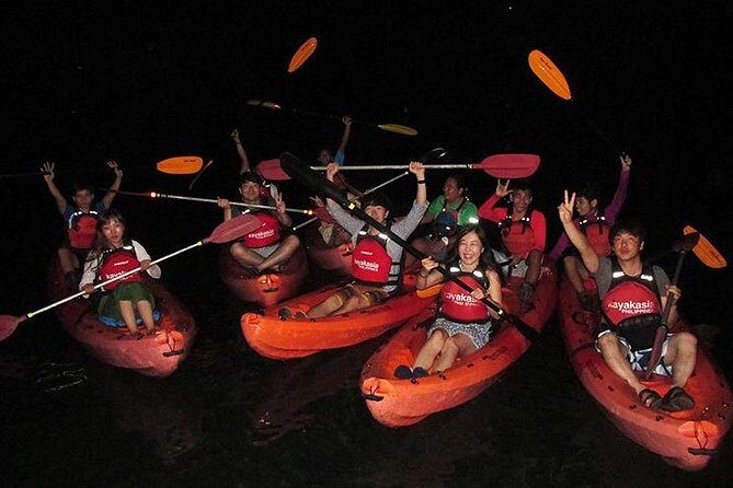 Bohol: Firefly Kayaking with Dinner - What Makes This Special?