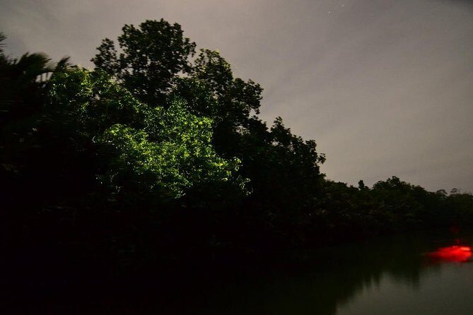 Bohol Firefly Watching (Private) - The Detailed Itinerary