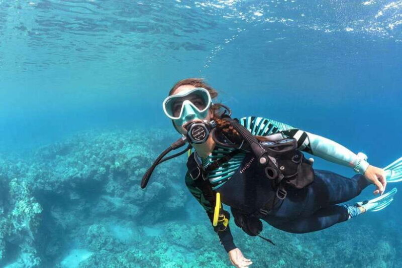 Bohol: First-Time Scuba Dive - No Experience Needed - What to Expect from Your Bohol Scuba Adventure