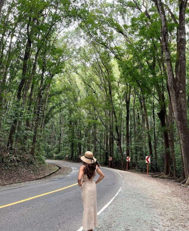 Bohol: Guided Chocolate Hills & Tarsiers Tour - Who Should Consider This Tour?