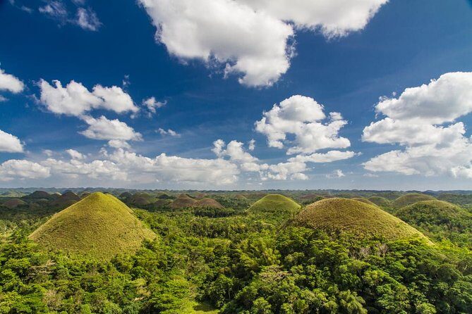Bohol Highlights Tour: Chocolate Hills, Tarsier Spotting and Loboc River Cruise - Introduction