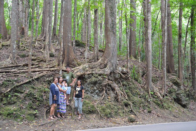 Bohol Island Countryside Tour with Buffet Lunch River Cruise (Cebu or Bohol) - Who Would Love This Tour?