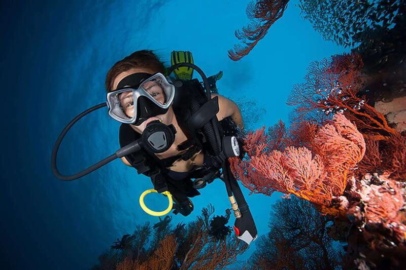 Bohol island: Fun dive local dive - Key Points