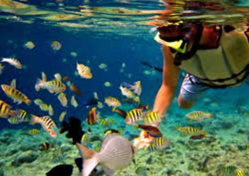 Bohol Island Hopping Tour - Relaxation and Beach Time