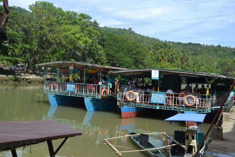 Bohol: Loboc River Buffet-Lunch Cruise with Private Transfer - Bohol: Loboc River Buffet-Lunch Cruise with Private Transfer