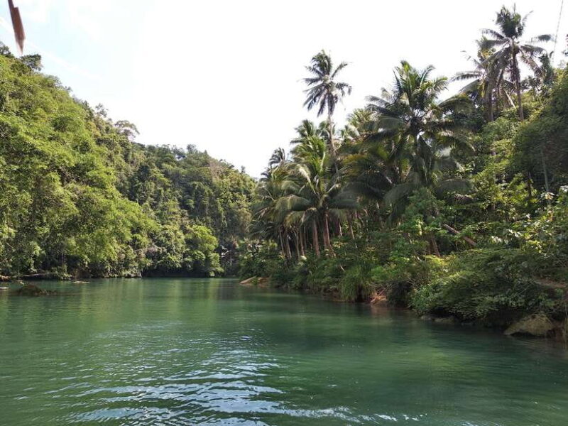 Bohol: Loboc River Buffet-Lunch Cruise with Private Transfer - What’s Good—and What’s Not
